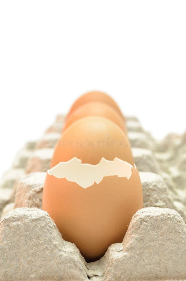 Egg and shell stock image. Image of oval, calcium, storage - 86945169