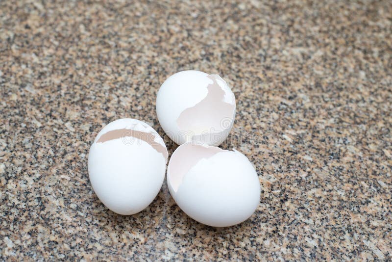 Egg shell stock photo. Image of broken, eggshells, natural - 126371854