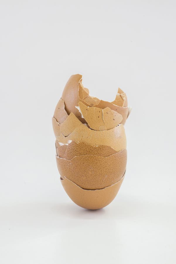 Egg Shell Stacked on a White Backdrop Stock Image - Image of design ...