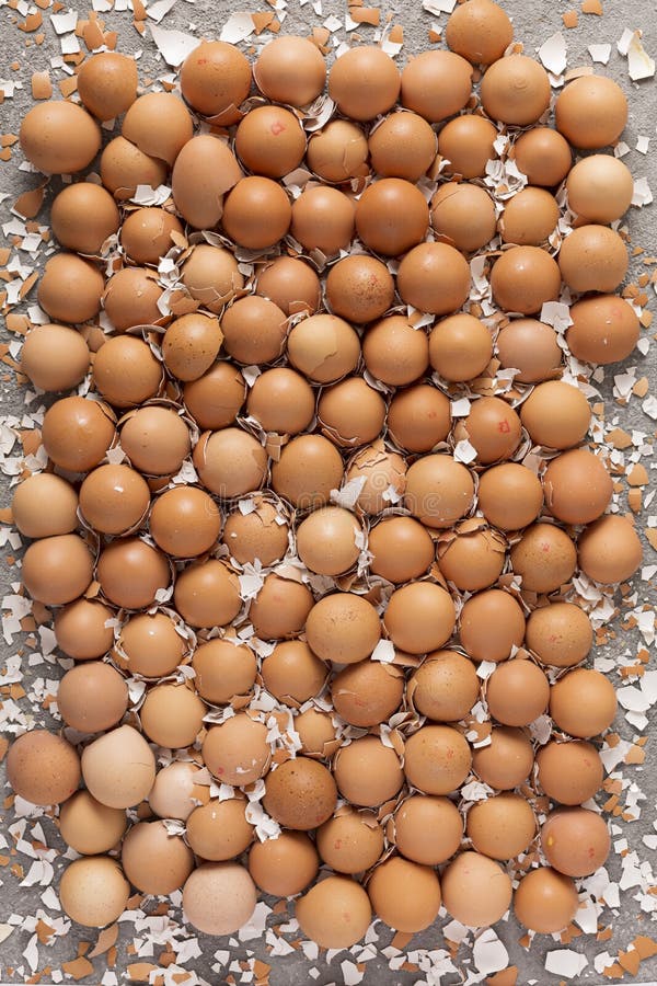 170 Eggshell Wall Texture Stock Photos - Free & Royalty-Free Stock ...