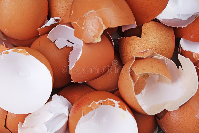 Egg Shell Texture. Brown Eggs As Background. Egg Shells Photography in ...