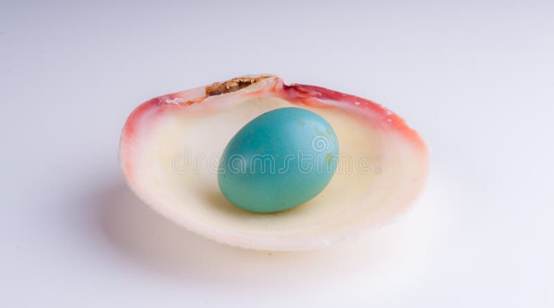 Egg in a Shell stock photo. Image of rouge, isolation - 148466868