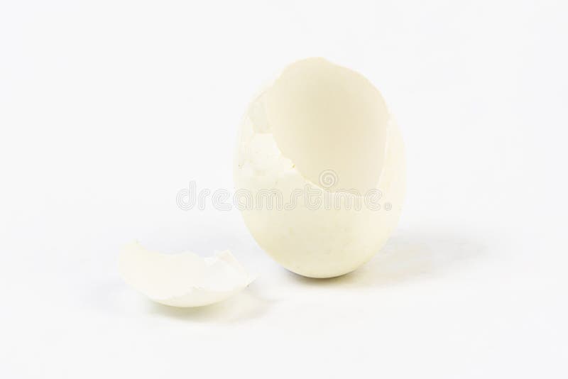 Egg Shell on White Background Stock Image - Image of concept, chance ...