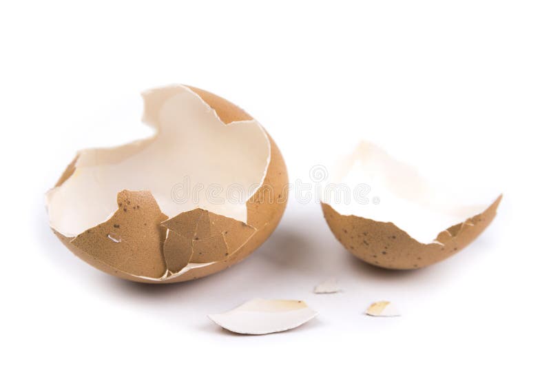 The Egg Shell on a White Background Stock Photo - Image of farm ...
