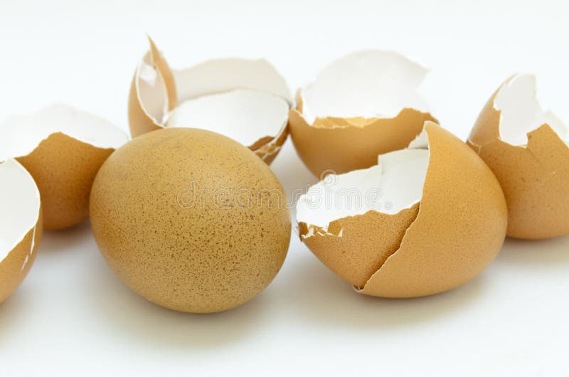 Egg Shell on White Background Stock Photo - Image of group, fragile ...