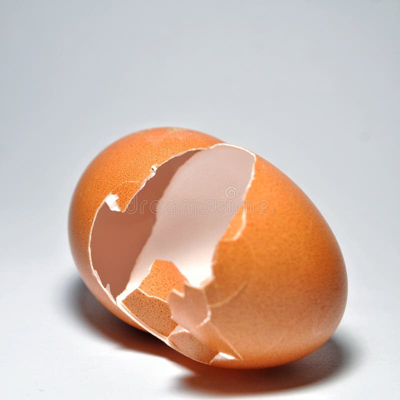 Egg Shell on White Background Stock Image - Image of celebration ...