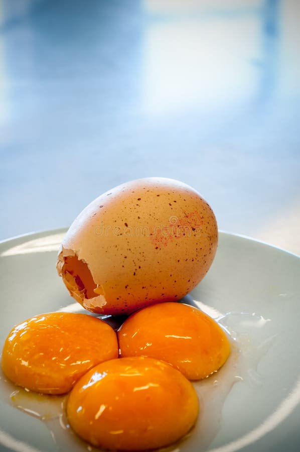 Egg shell and yolks stock photo. Image of poultry, fresh - 55027606