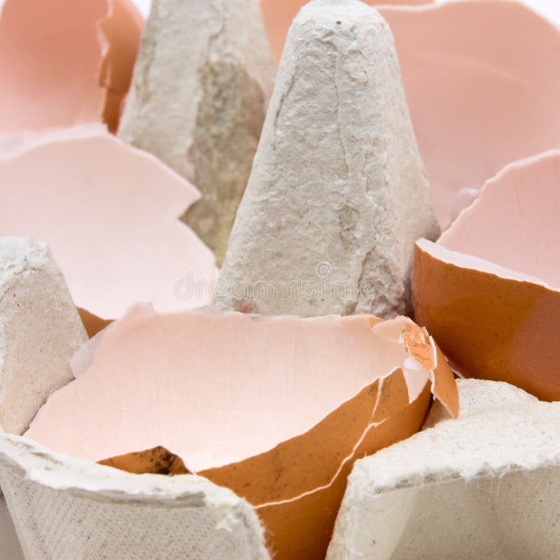Eggshell cracks stock image. Image of close, nest, cracked - 19134307