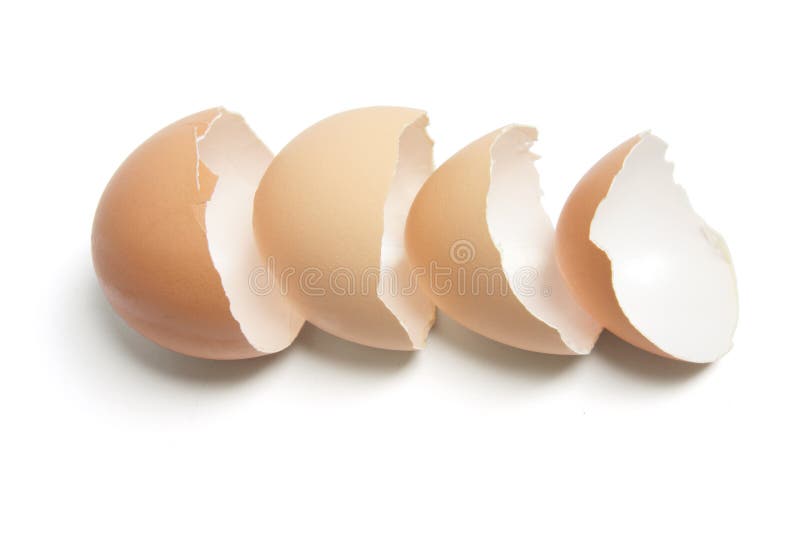Egg Shells stock image. Image of line, empty, cutout - 14069165