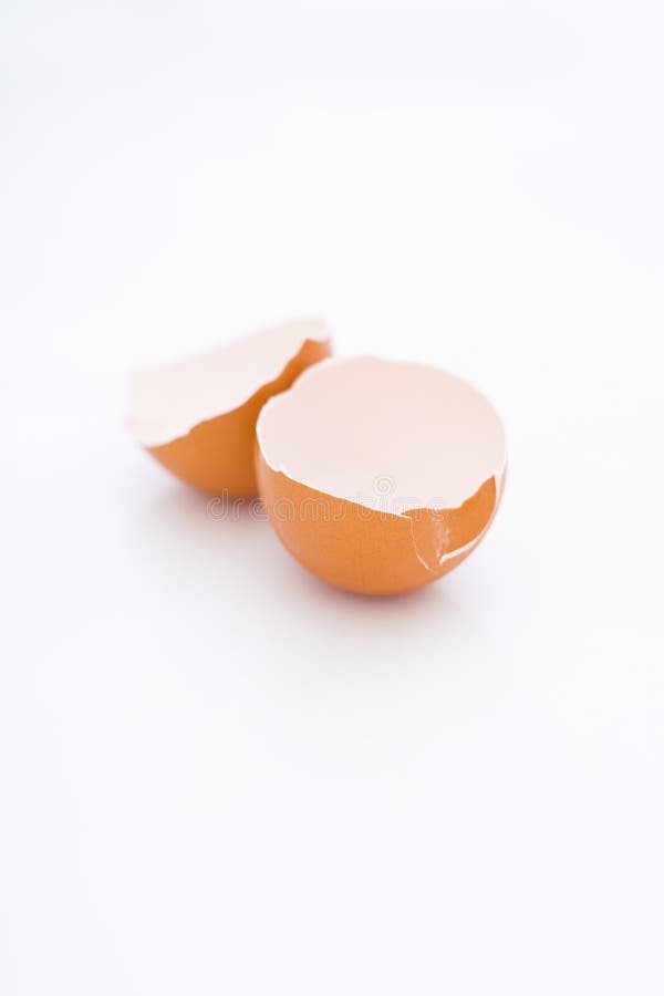 Egg Shells stock photo. Image of protein, shell, ingredient - 22904684