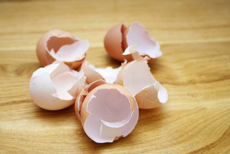 Egg shells stock image. Image of isolated, chicken, crash - 3046347
