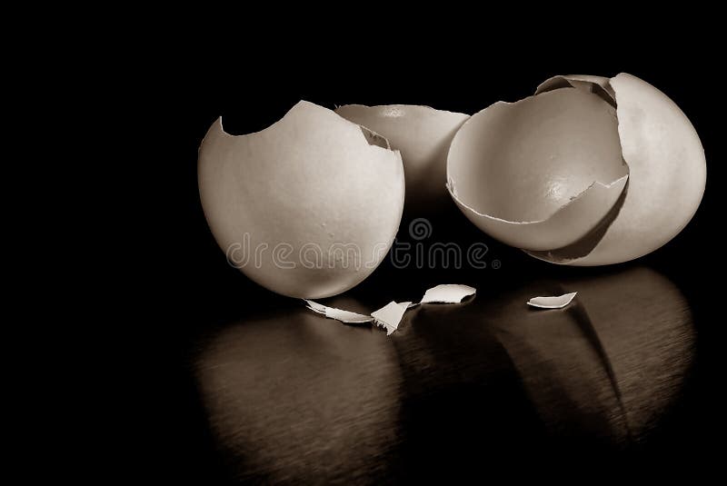 Egg Shells on Black stock photo. Image of health, cholesterol - 132196860