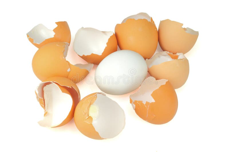 Egg Shells with One Good Egg Stock Photo - Image of aliment, albumen ...