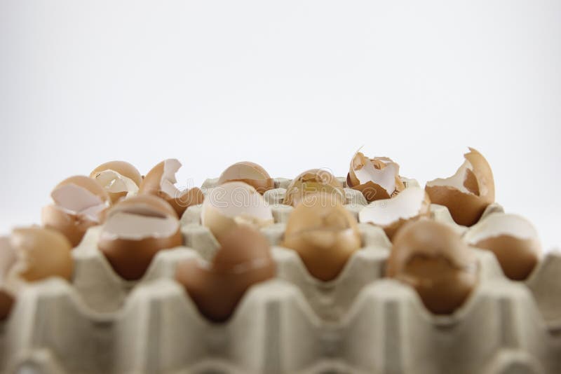 Egg Shells Placed in a Paper Box Set on a White Background. Stock Image ...