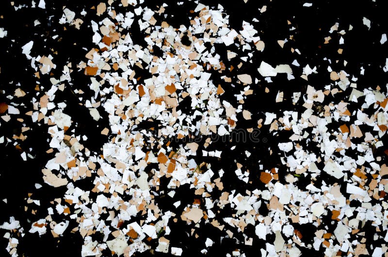 Egg Shells Scattered on the Ground. Feeding for Birds Stock Image ...