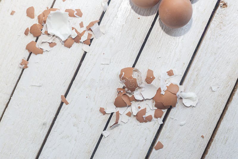 Egg shells on wood stock photo. Image of protein, nature - 172639594
