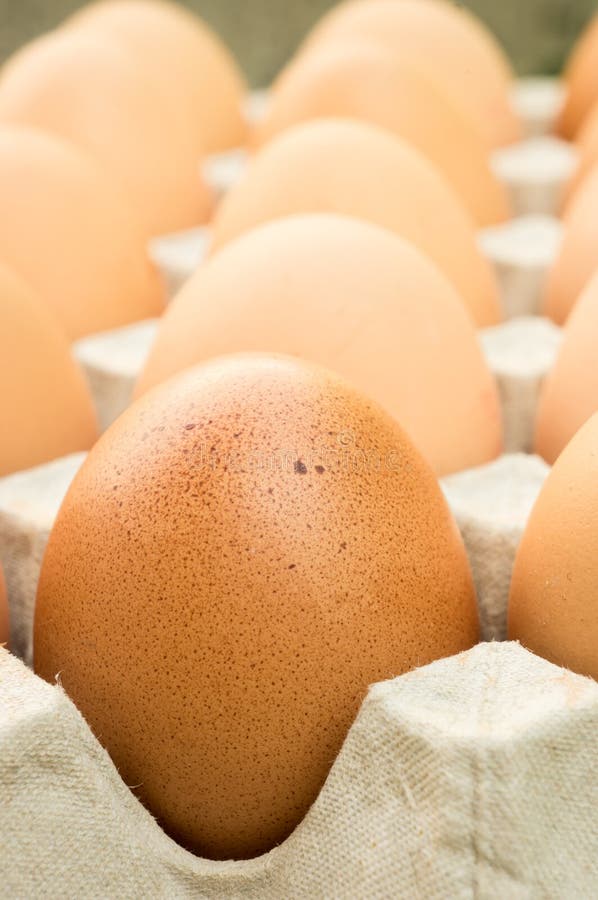 Egg simple stock image. Image of transportation, craft - 31379499