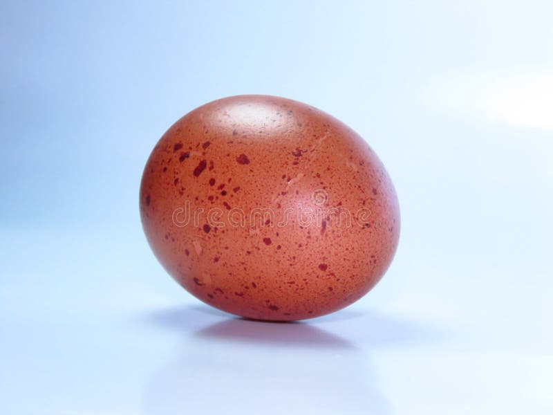 Egg Single Egg Horizontally on a White Background. Stock Image - Image ...