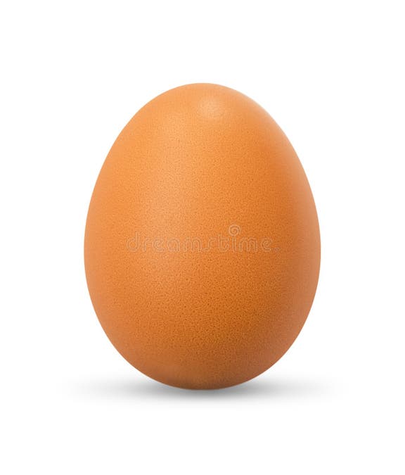 Egg stock photo. Image of fresh, oval, protein, eggshell - 50295078