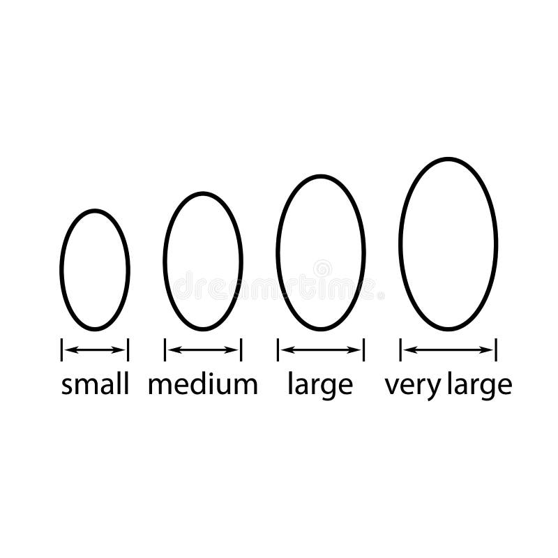 Egg Sizes. Set of Vector Illustrations with Arrows and Eggs Stock ...