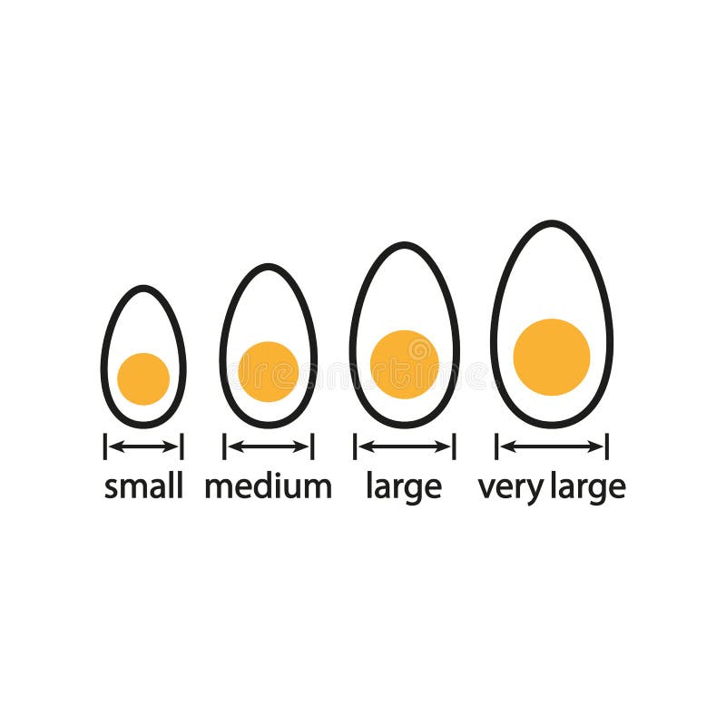 Egg Sizes. Set of Vector Illustrations with Arrows and Eggs Stock ...
