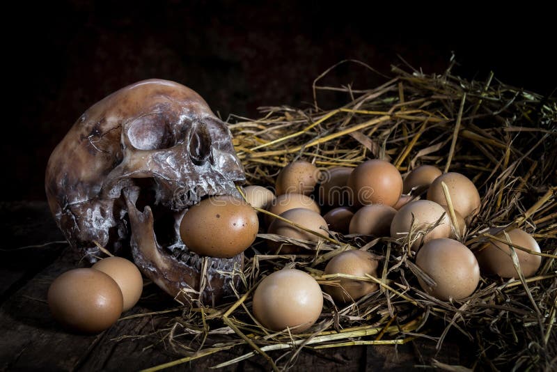 Egg in Skull Mouth on Wood Background Stock Image - Image of scary ...