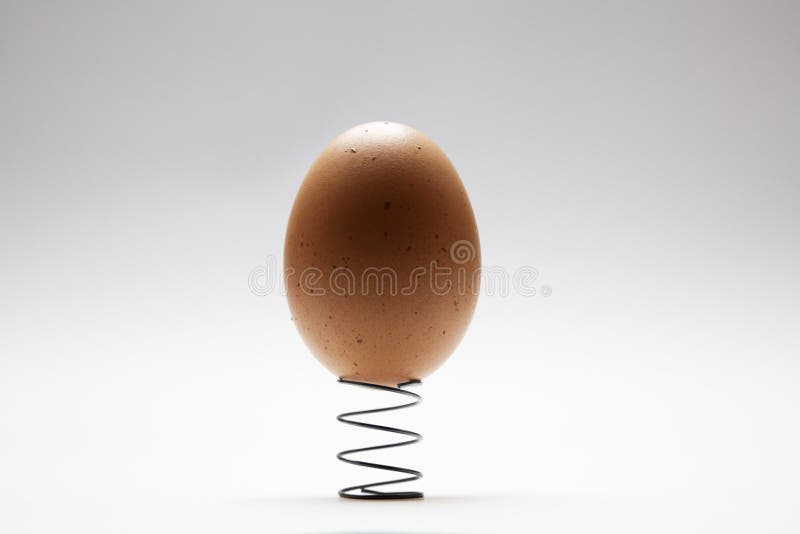 Egg on a Spring stock image. Image of dairy, spring, lifestyle - 11366439