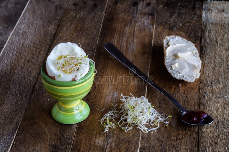 Egg and sprouts stock photo. Image of healthy, breakfast - 89020488