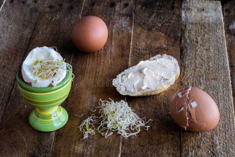 Egg and sprouts stock photo. Image of head, empty, freshness - 89020718