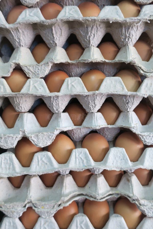 Egg stack in paper tray stock image. Image of protein - 108233735