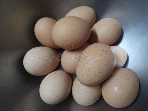 Egg Chicken in Stainless Steel Basin Stock Photo - Image of food ...