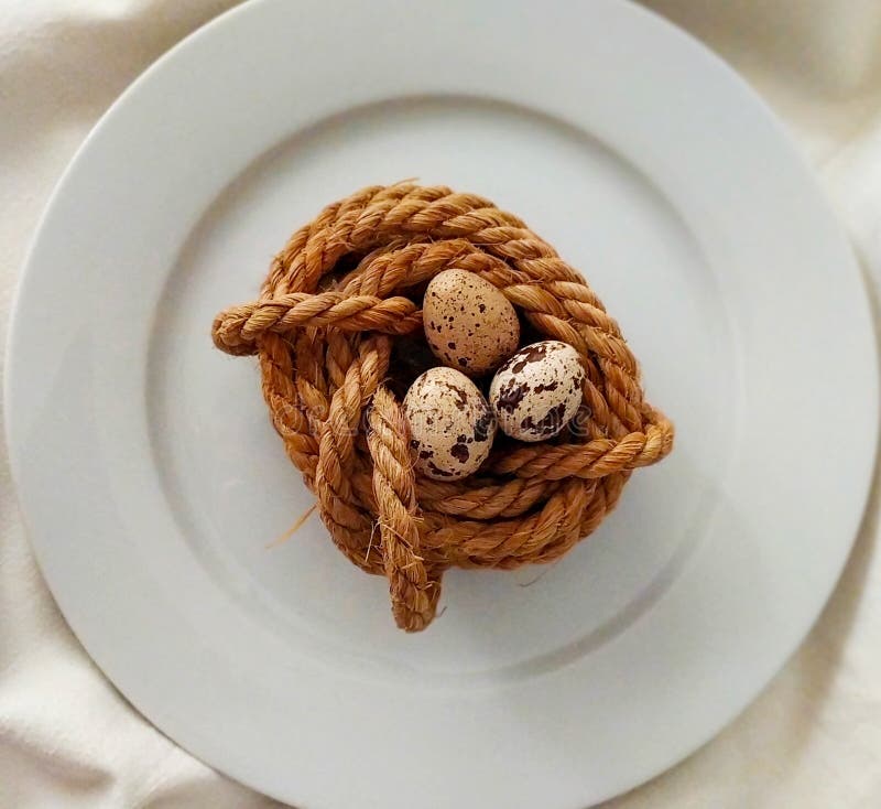 Egg To the Coc Presented on a Rope Nest Seville Spain 04/05/2020 Stock ...