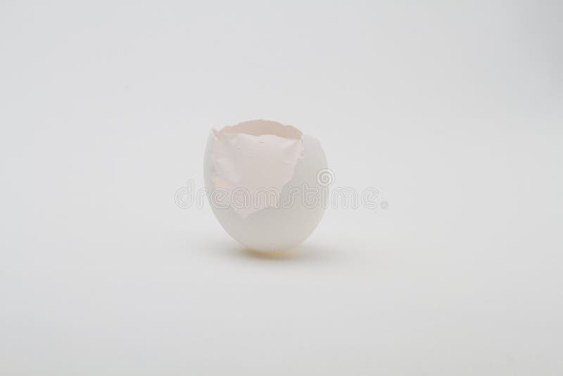 Expose inner skin stock image. Image of healthy, background - 174842913