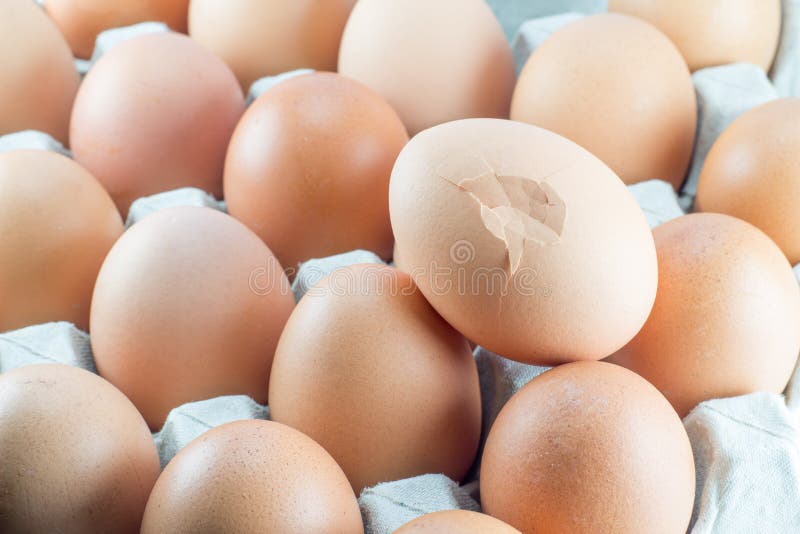 Egg in tray stock photo. Image of breakfast, uncooked - 63310488