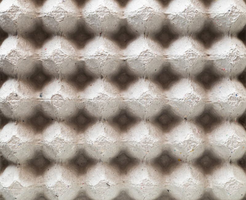 Egg tray empty stock photo. Image of mold, recycle, empty - 60319266