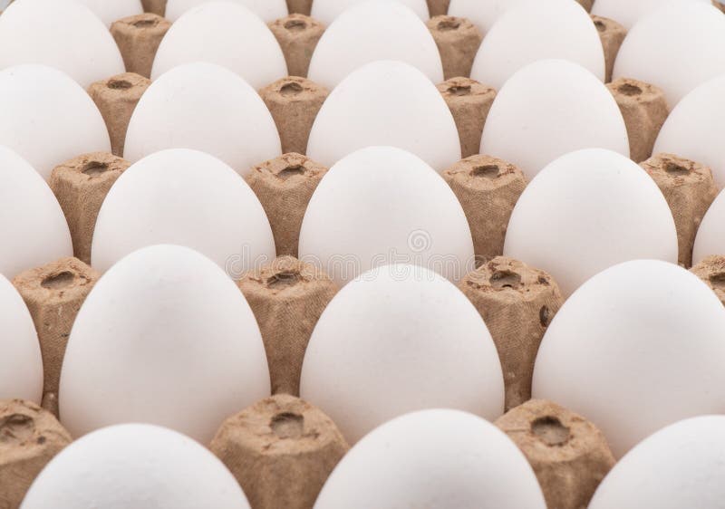 Egg Tray with Fresh White Eggs Texture Background. Fresh Organic ...