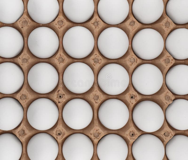 Egg Tray with Fresh White Eggs Texture Background. Fresh Organic ...