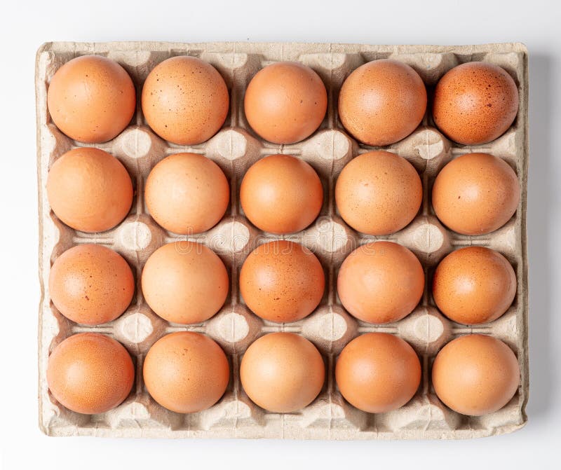 Egg Tray Isolated, Twenty Brown Eggs Pack, Fresh Organic Egg in Container Stock Image - Image of ...