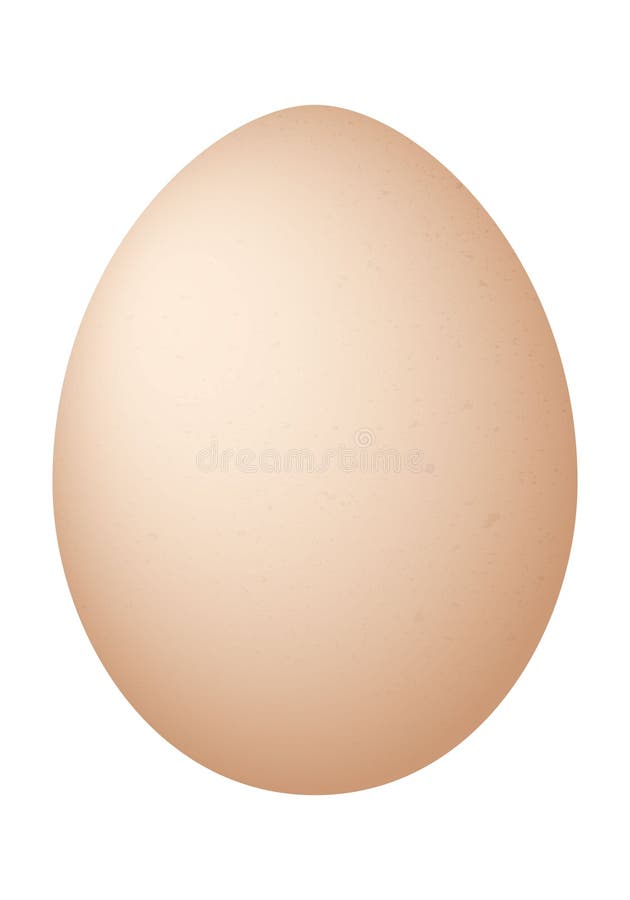 Egg - Illustration on White Background Stock Vector - Illustration of ...