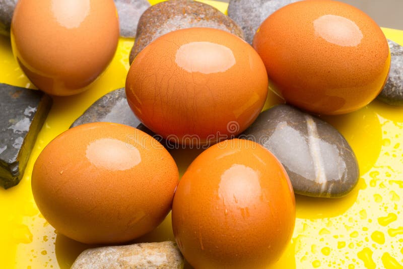 Egg washing, fresh eggs stock photo. Image of healthy - 184061406