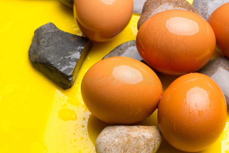 Egg washing, fresh eggs stock photo. Image of breakfast - 184061408