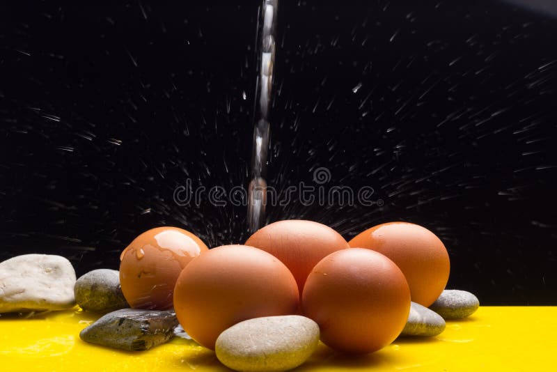 Egg washing, fresh eggs stock image. Image of business - 184061359