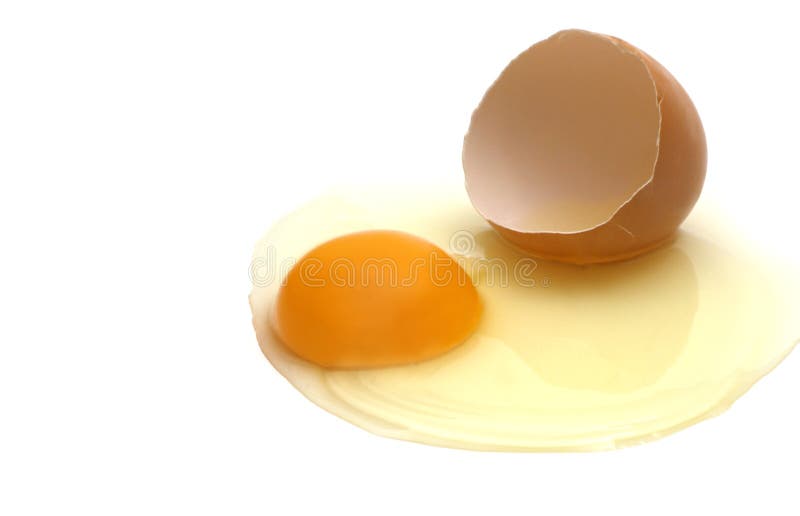 Egg on white background stock photo. Image of eggshell - 4150448