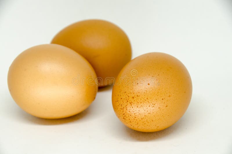Egg on white background stock photo. Image of healthy - 96062982