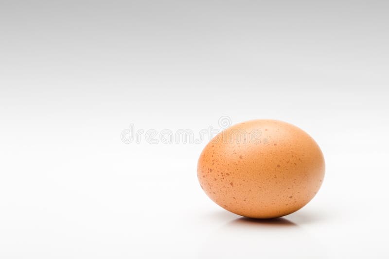 Egg Single Egg Horizontally on a White Background. Stock Photo - Image ...