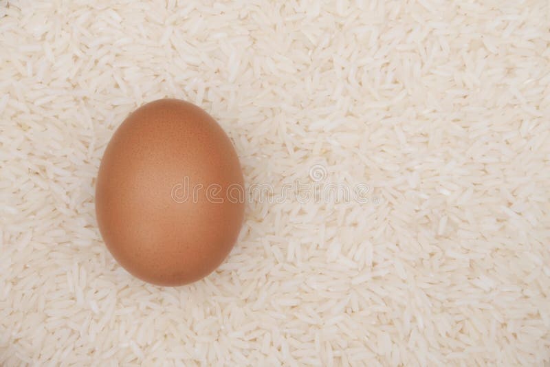 Egg and white rice stock photo. Image of vitamins, rice - 57059368
