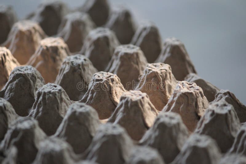 Egg Wrapper Made from Cardboard Waste Has a Unique Texture Stock Photo ...