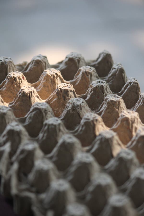 Egg Wrapper Made from Cardboard Waste Has a Unique Texture Stock Image ...