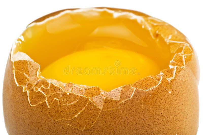 Egg yolk stock photo. Image of natural, food, nutrient - 22636084