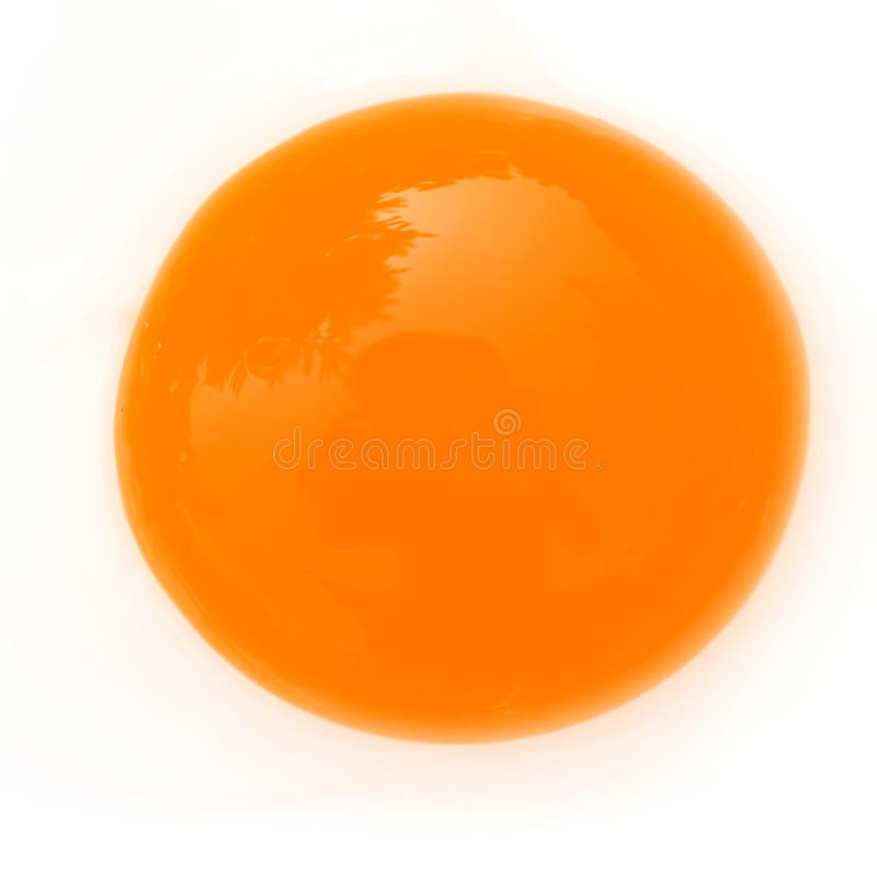 Egg yolk stock image. Image of organic, food, close, protein - 24113641